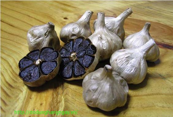 Cao tỏi đen - Shop sản phẩm